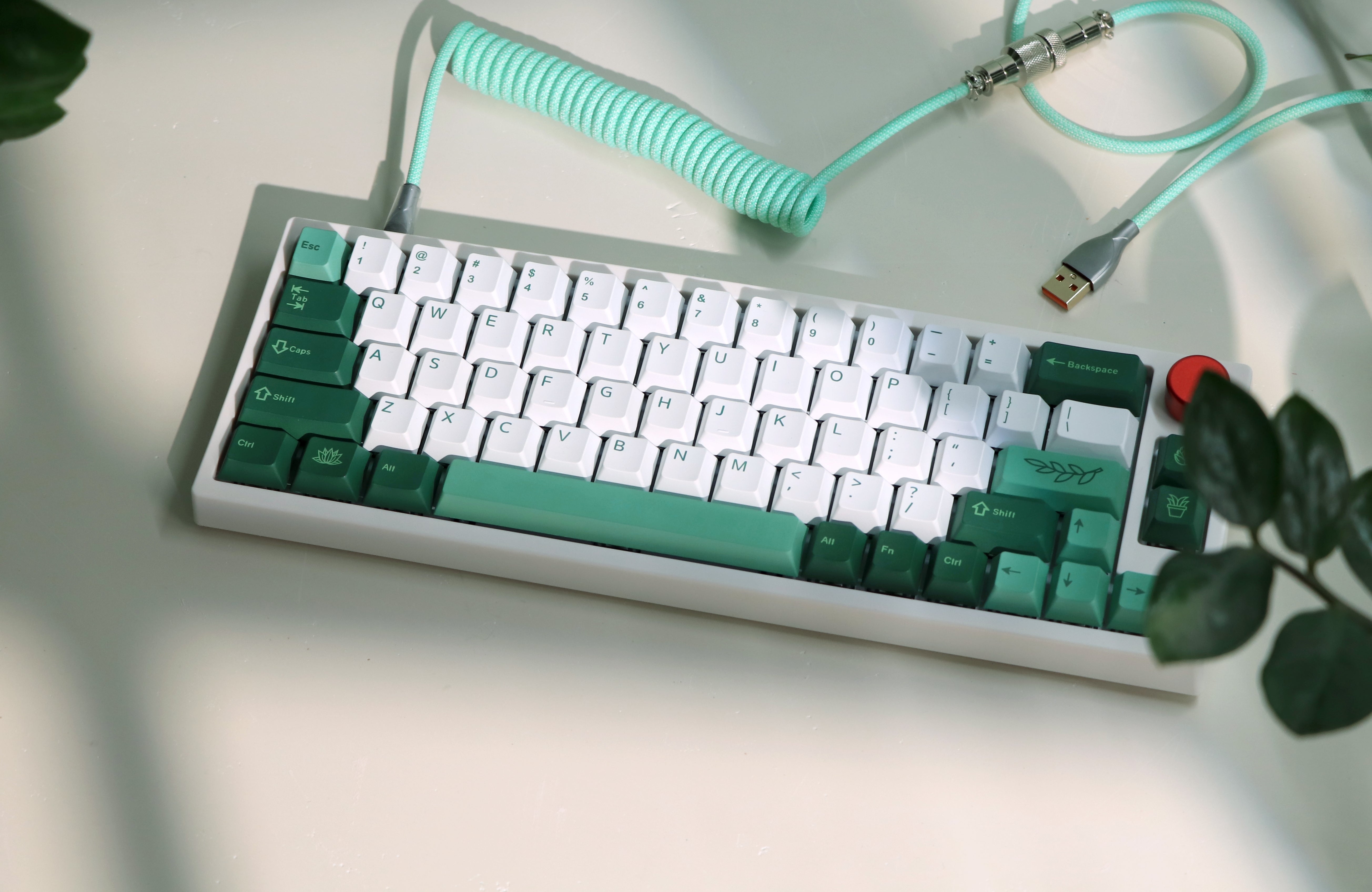 The Ultimate Guide for Buying a Mechanical Keyboard